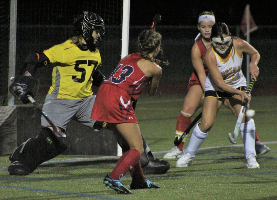 Tourney preview? Sabers, Stark settle for thrilling 1-1 tie | News ...